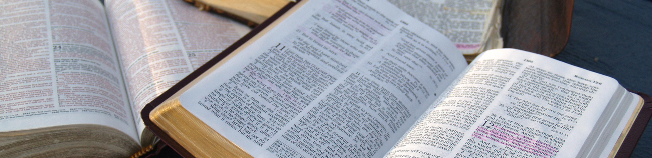 Bibleline Ministries